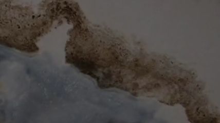 天花板漏水发霉 楼上邻居迟迟不修