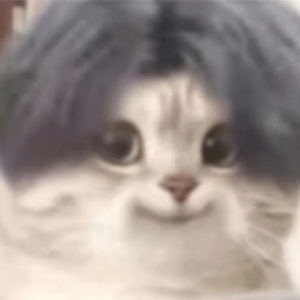 蓝翔驻站特派员啊江 