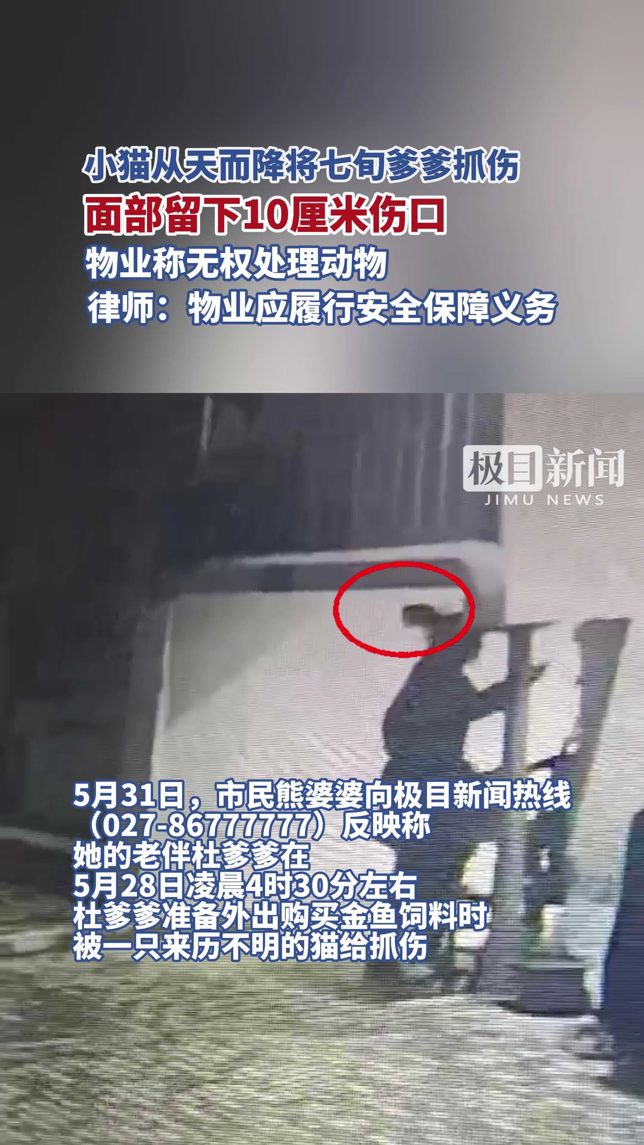 ...从天而降将七旬爹爹抓伤,面部留下10厘米伤口,物业称无权处理动物,...