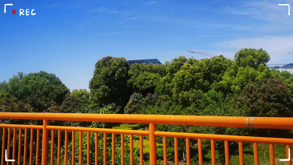 南京大学苏州校区外景实拍