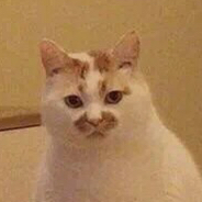 一直很困的炸鱼薯条 