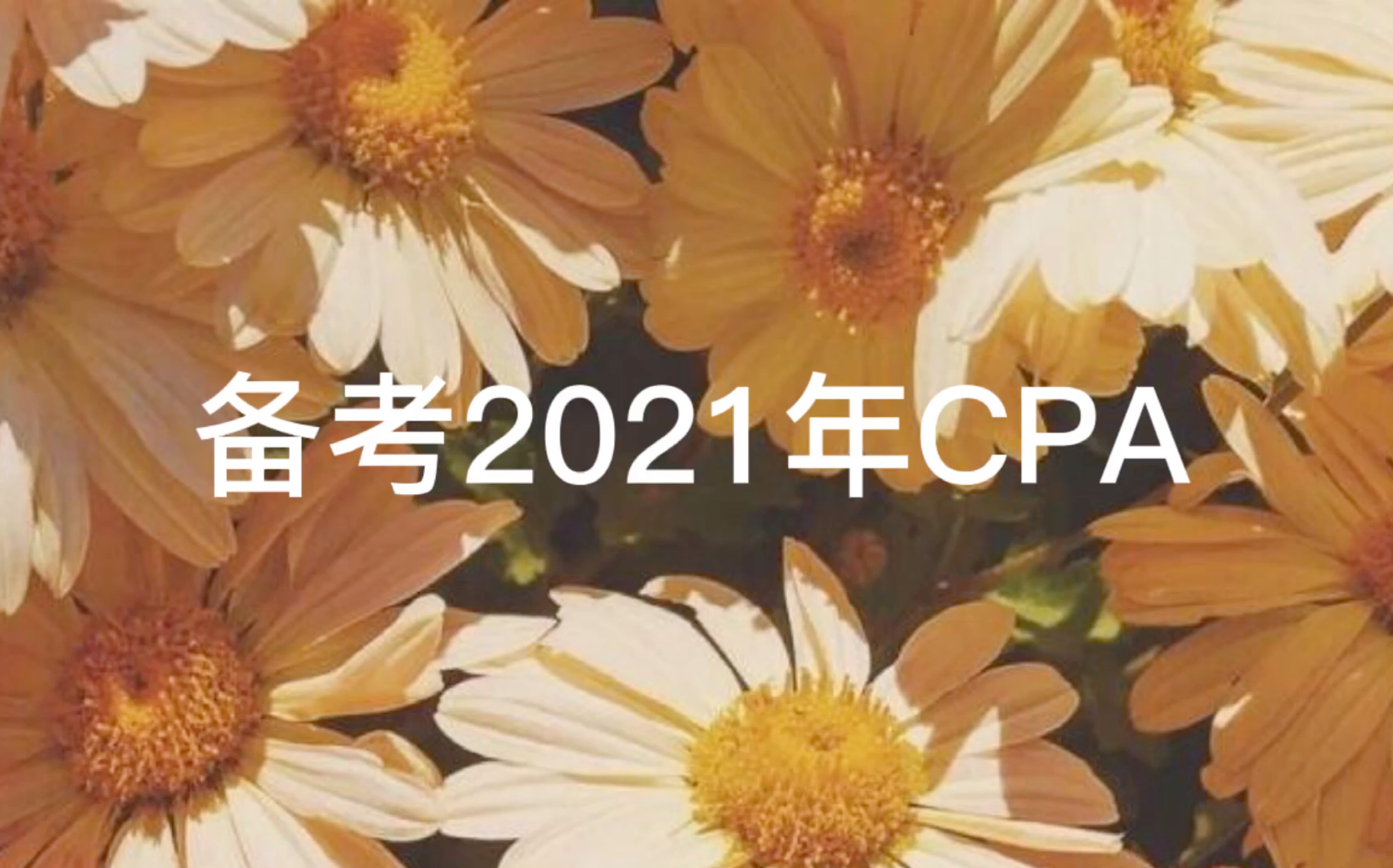 备考2021年CPA-会计