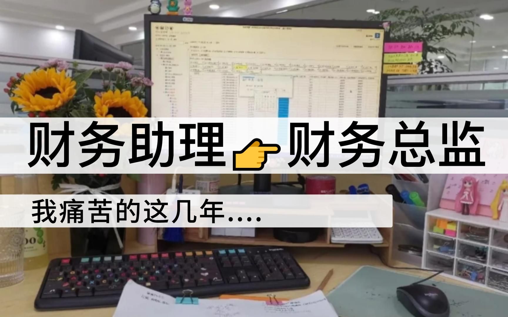 从一个跑腿的财务助理财务总监,我痛苦的这几年.