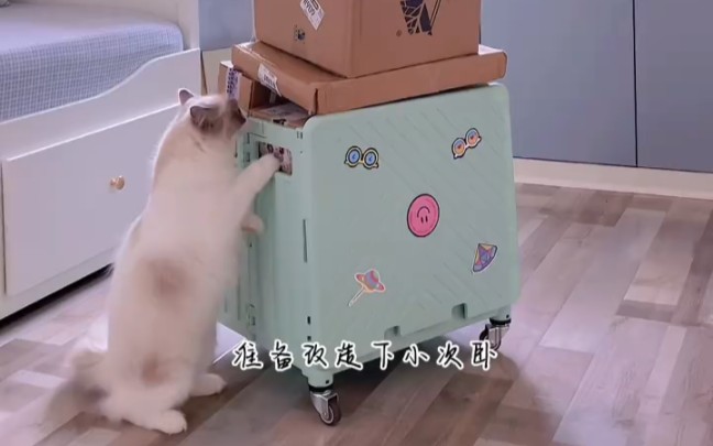 沉浸式书桌改造,原来次卧还可以这样用~