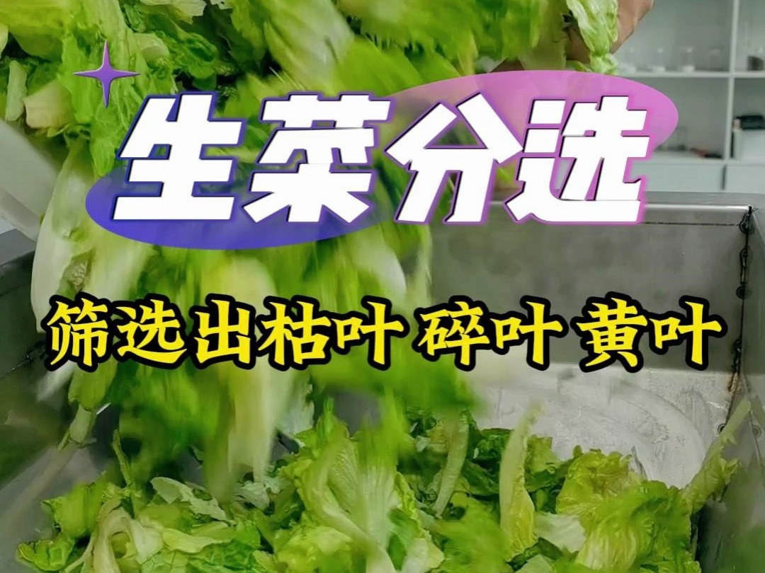 ...打包食用。智能精选设备色选机在鲜切蔬菜加工中的应用效果明显。