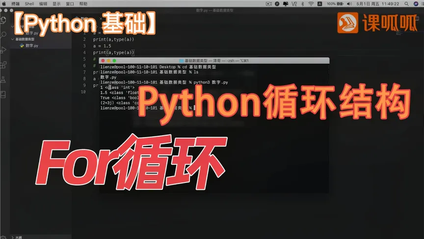 【Python基础】循环结构之for循环