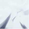 甄胖 