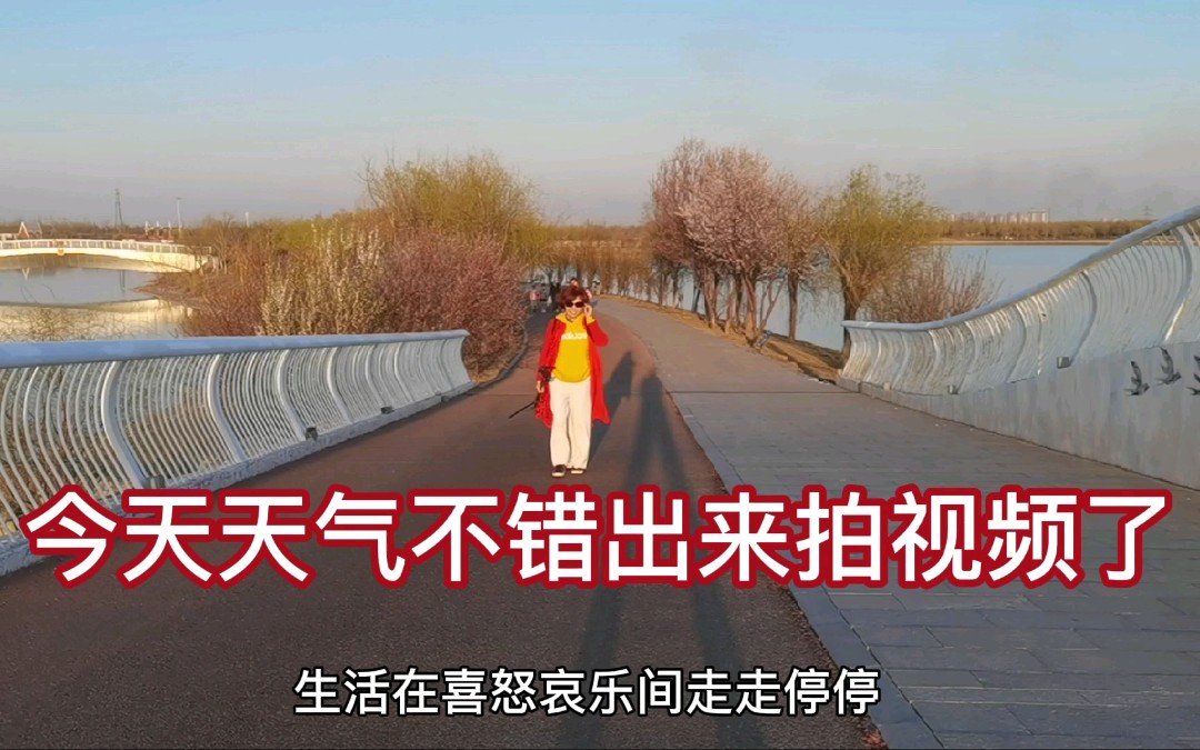 今天天气不错,出来拍视频了,继续练习手机云台稳定器的运镜技巧