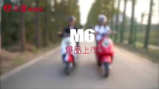 众星电动车,新品上市,质量好,价格实惠,超长质保