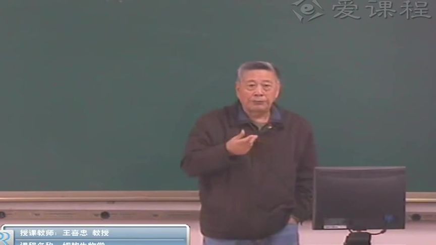 四川大学细胞生物学课程:第36讲