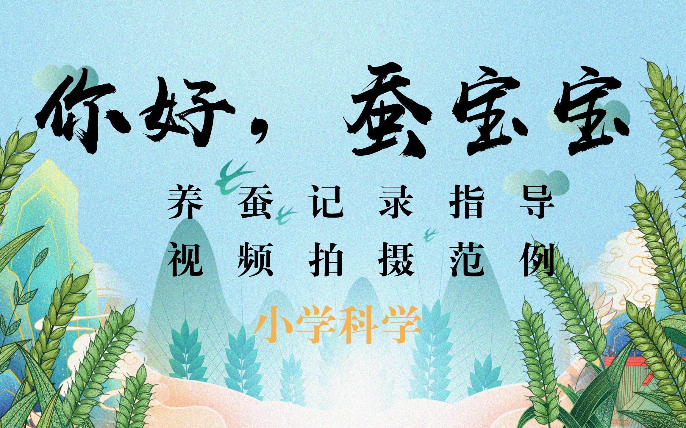 【小学科学】养蚕视频日志范例指导-《你好蚕宝宝》