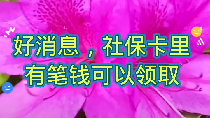 好消息,社保卡里有笔钱可以领取,你领取了吗?