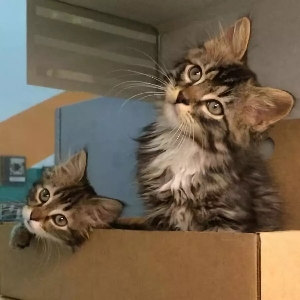 我乃风流倜傥英俊潇洒帅气逼人涛哥是也 