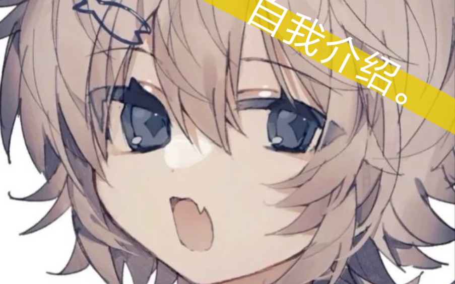 自我介绍(我其实是@小朋友的电脑)