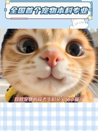 ...了吧?#全国首个宠物本科专业 #宠物 #中国农业大学 #本科 #大学生
