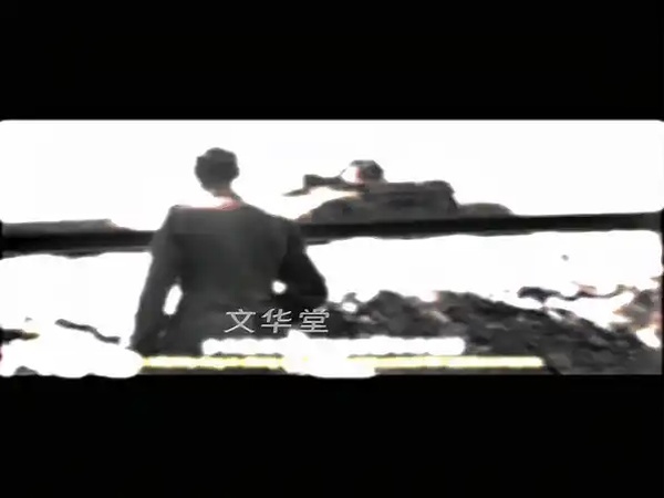 白色行动计划,咱们要雪耻,波兰得分赃