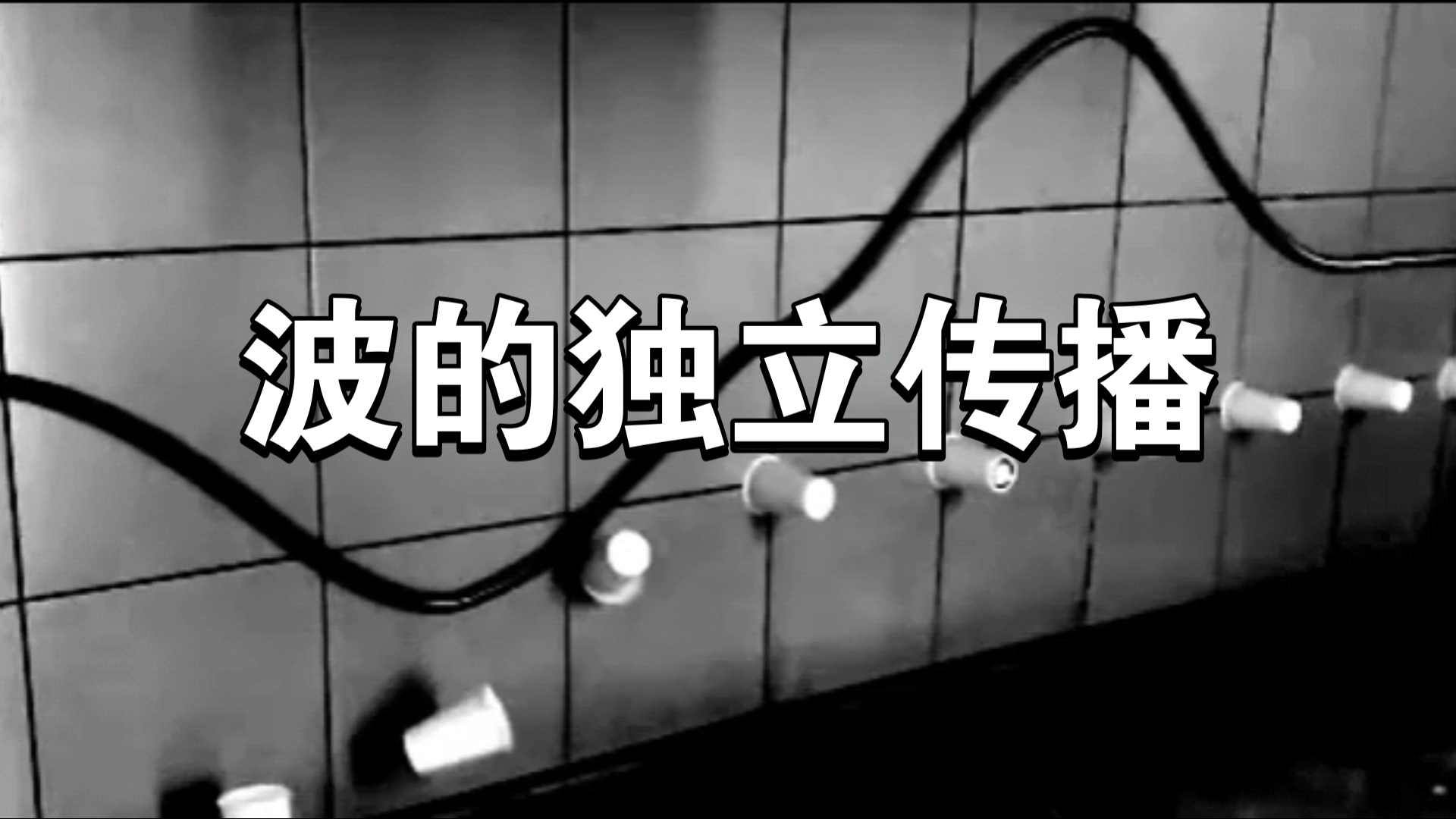 绳波演示波的独立传播原理