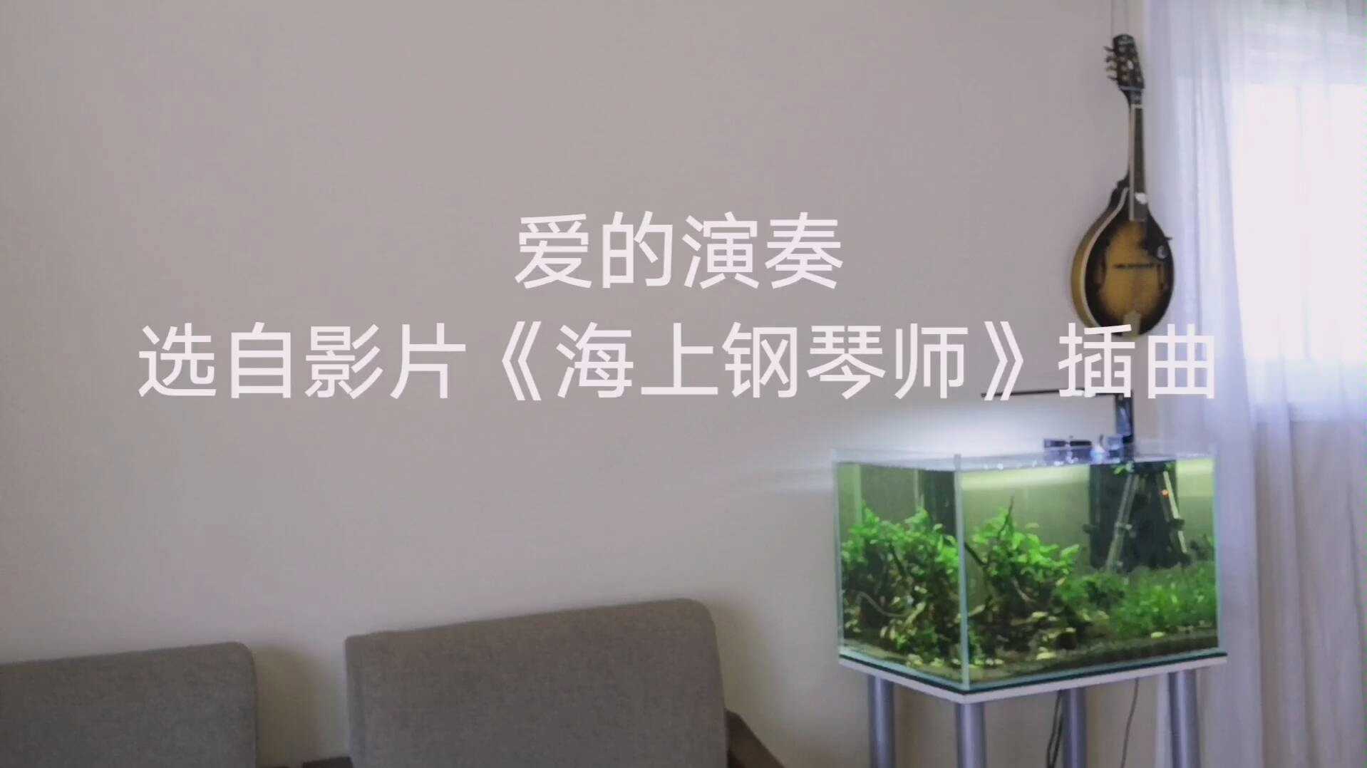 电影《海上钢琴师》中爱的旋律,小提琴的不约而至