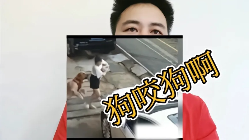 大街上狗咬狗啊爱狗人士快来呀,真是太恐怖了,小狗估计没命了