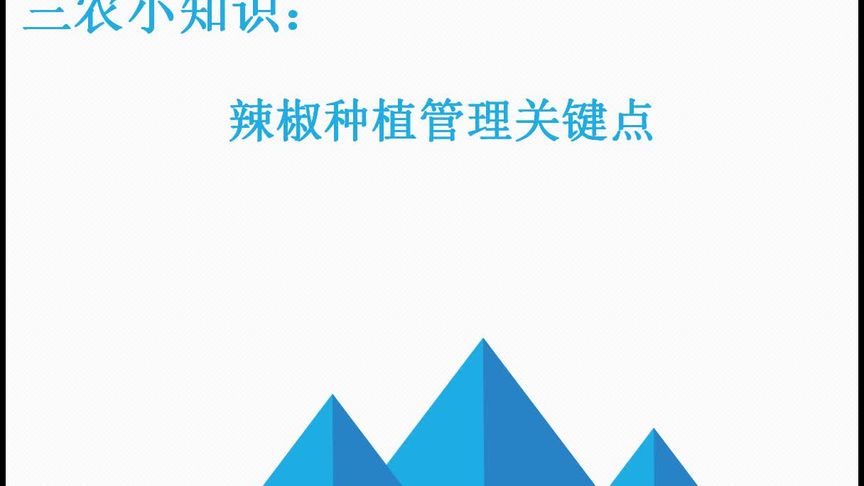 三农小知识:辣椒种植管理关键点