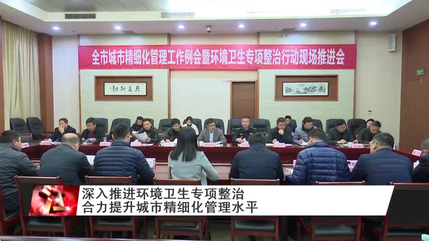 深入推进环境卫生专项整治 合力提升城市精细化管理水平