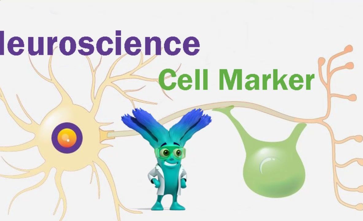 biorbyt 神经学细胞标记物