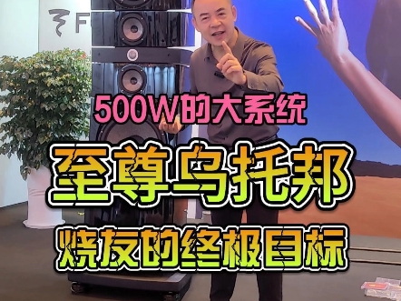 大几百W的旗舰音响系统