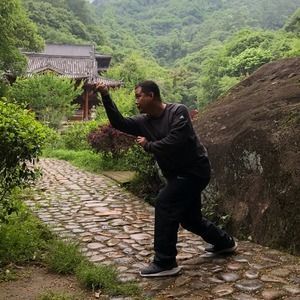 形意拳