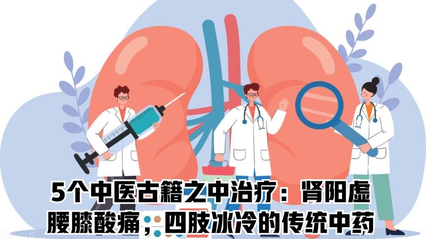肾阳虚、腰膝酸痛,四肢冰冷的传统中药都有哪些?有何区别?