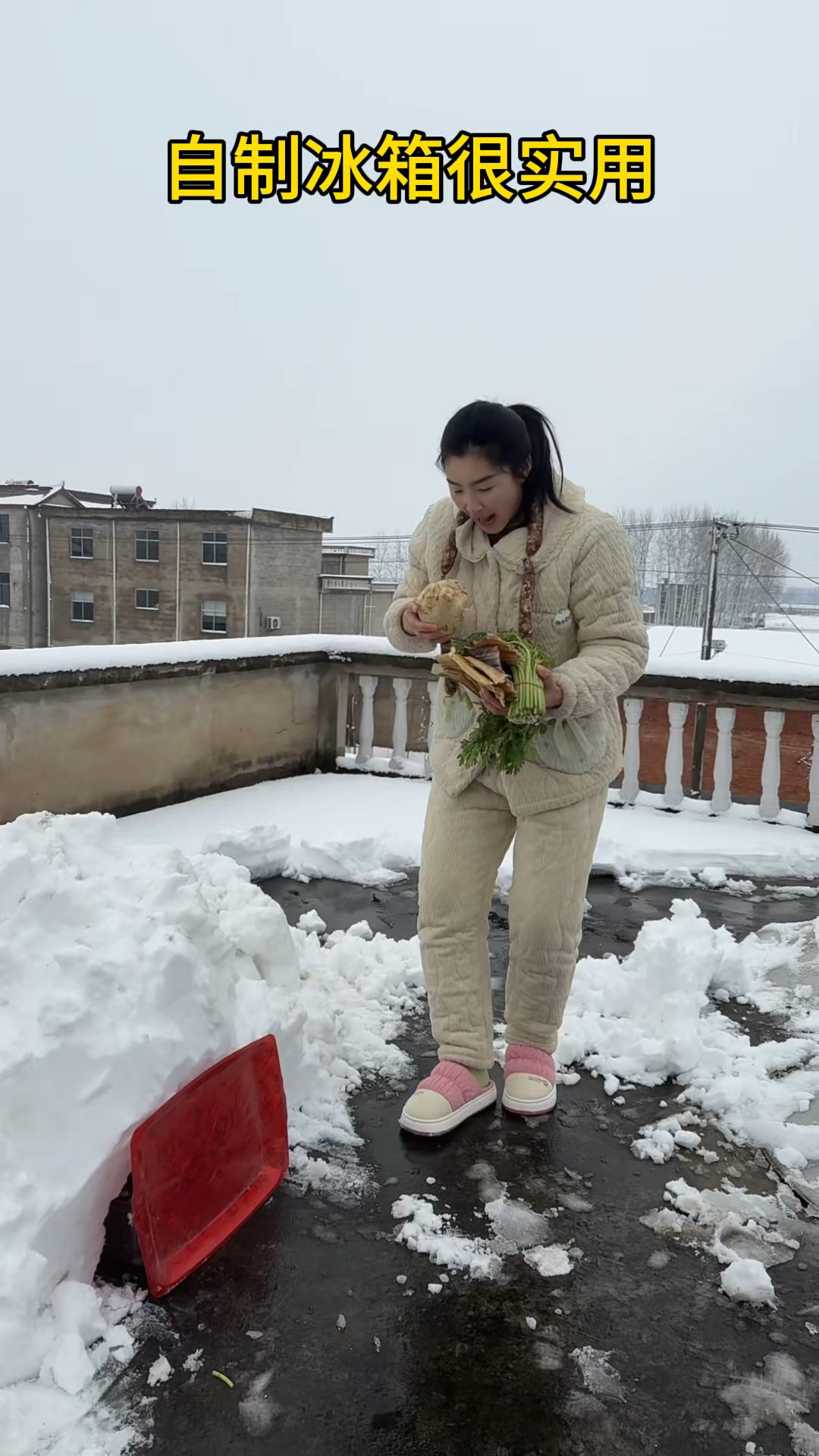 自制冰箱很实用!