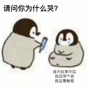 失棉and头秃 