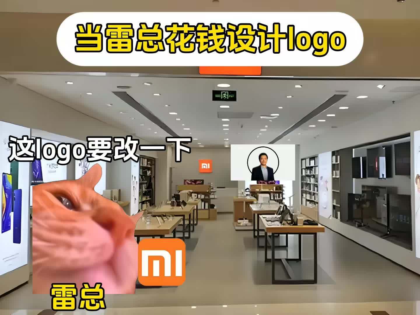 当雷总花钱设计logo