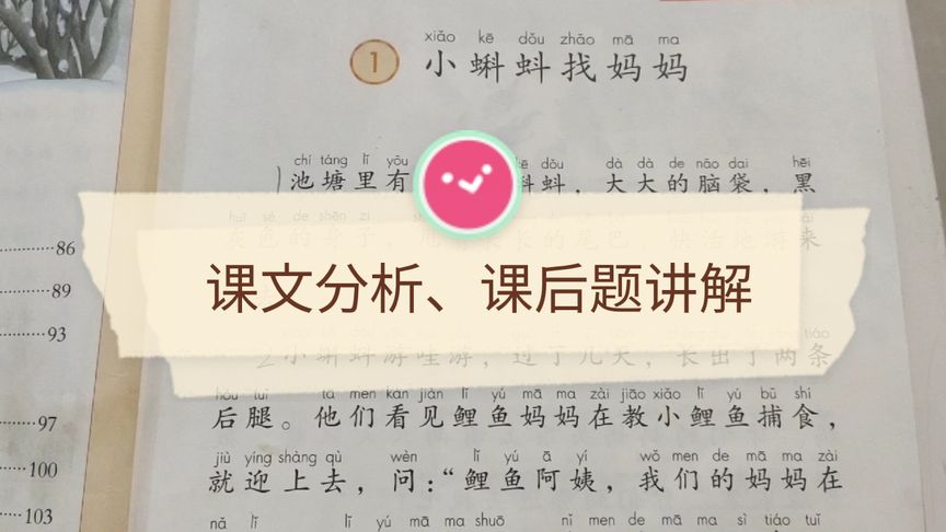 二年级语文上册《1.小蝌蚪找妈妈》课文内容分析、课后习题讲解