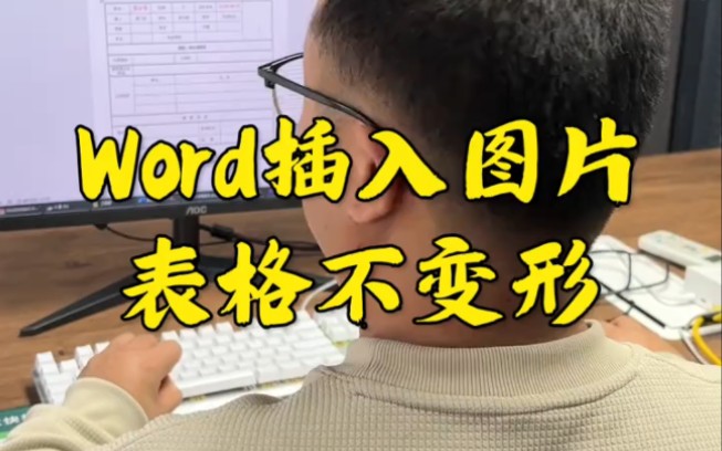 Word插入图片表格不变形
