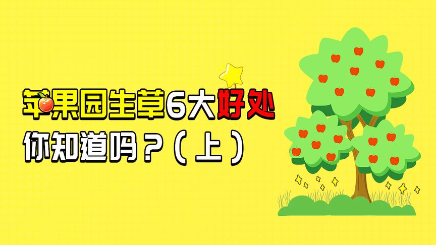 苹果园生草的6大好处,你知道吗?