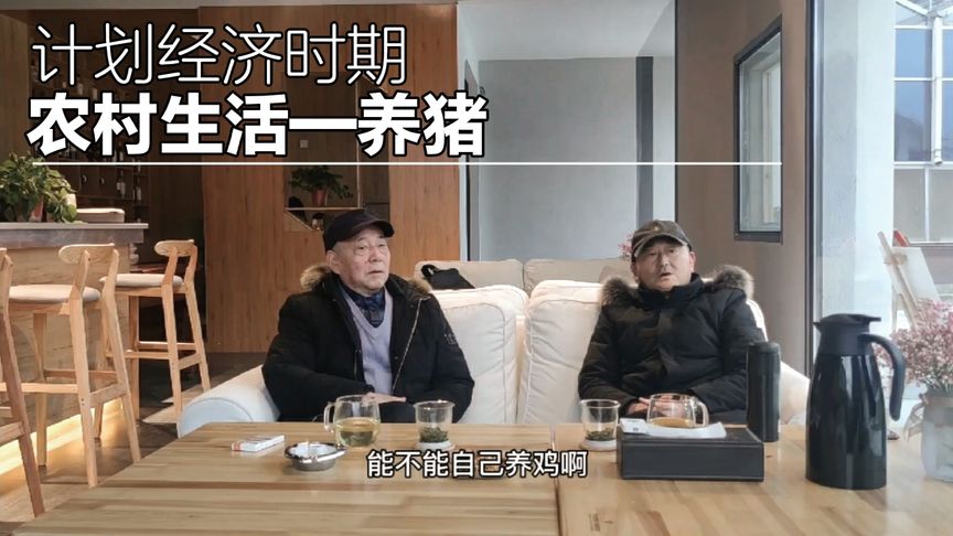 计划经济时期下的真实生活,农村怎么养猪吃肉