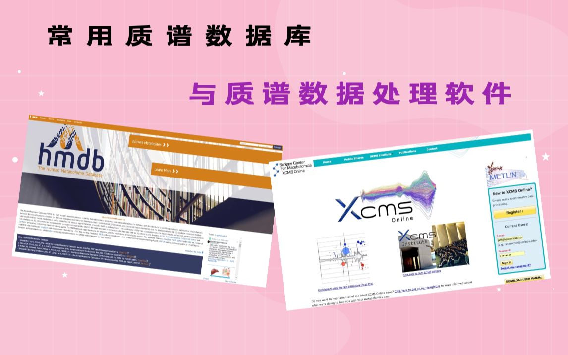 【生物信息技术】常用质谱数据库及质谱数据处理软件的使用