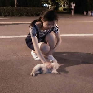 葱葱10086 
