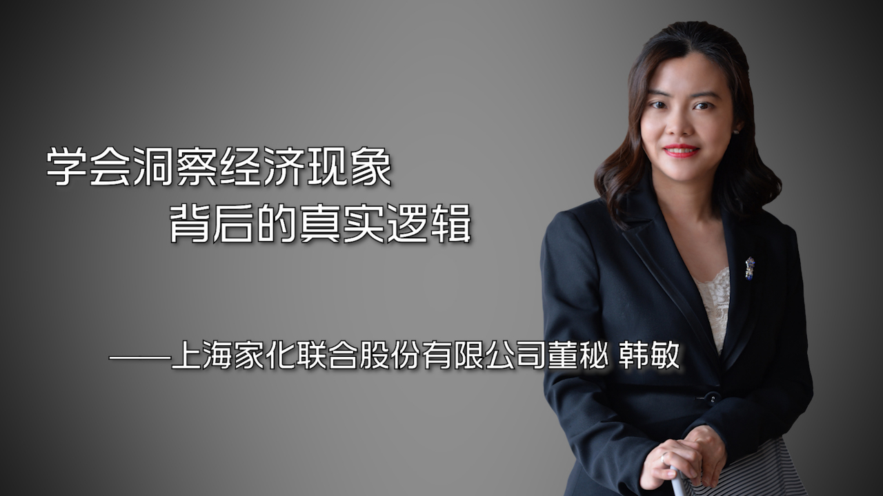 韩敏:学会洞察经济现象背后的真实逻辑