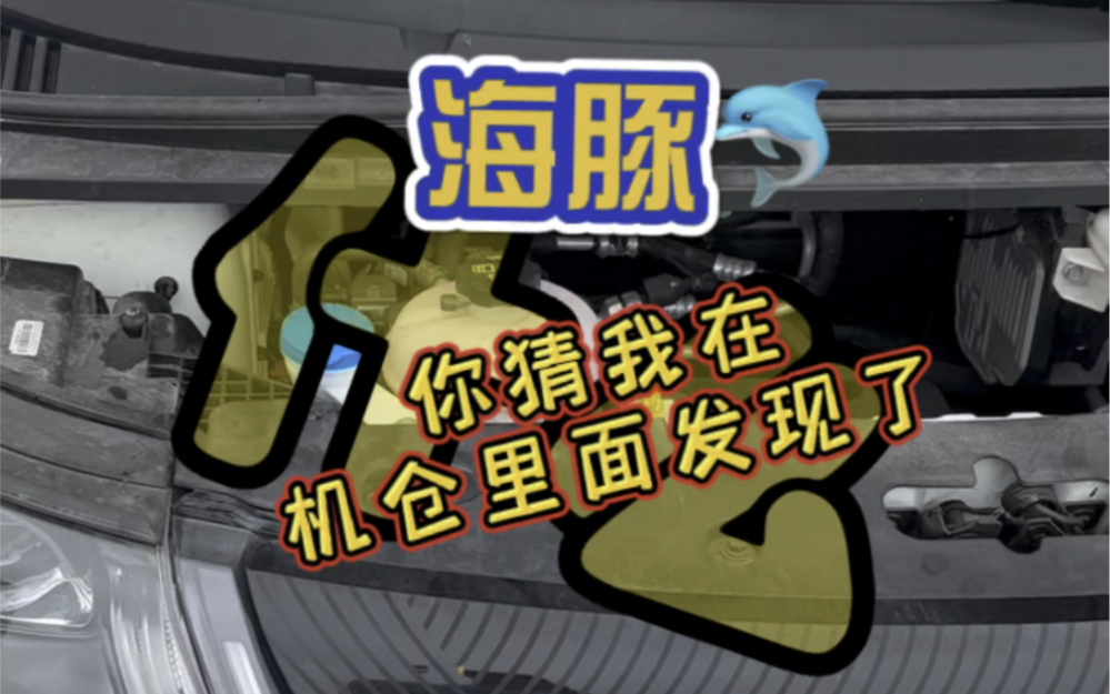 海豚雨刮喷水壶,冷却液壶,刹车油壶在那里,分别如何使用