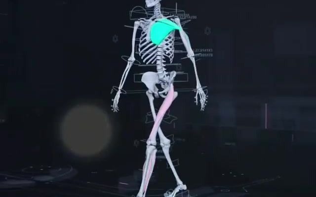 当医学生会用3D软件做动画