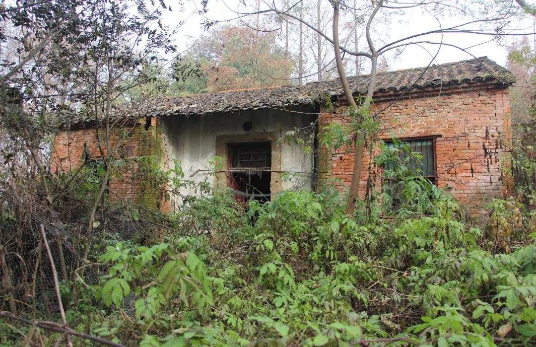 在农村老家有一块宅基地,以后会升值吗?