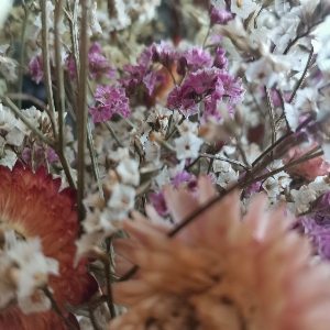 头上带花的大灰狼 