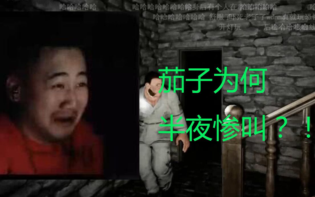 【csgo茄子】茄子为何半夜惨叫连连?!茄子直播玩恐怖游戏pacify!