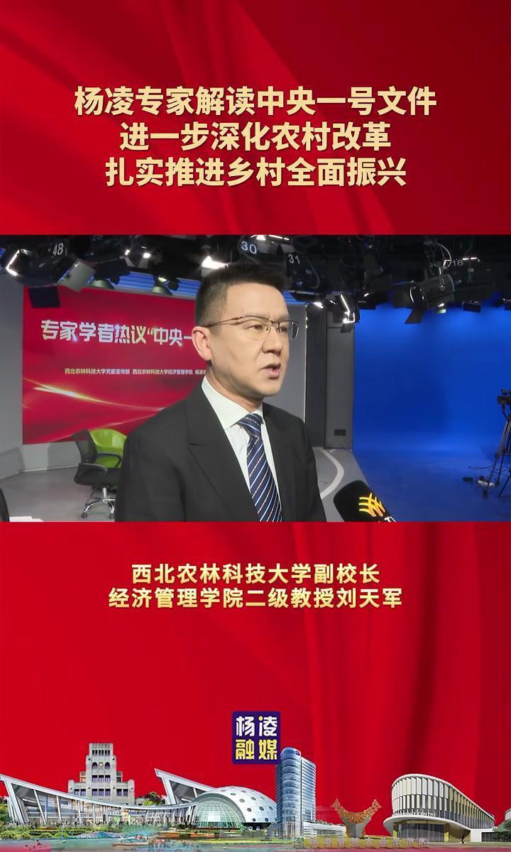 杨凌专家解读中央一号文件|西北农林科技大学副校长、经济管理学院...