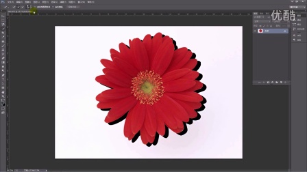 ps教程 pscc基础教程 photoshop入门教程 自学ps抠图教程魔棒工具抠图