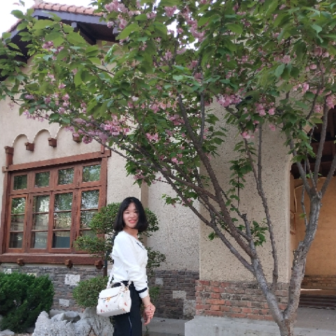 四叶草形爆米花-buibui 