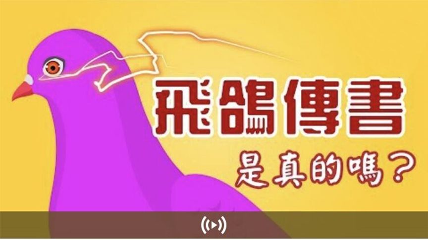 为什么鸽子能送信?飞鸽传书是怎么一回事!
