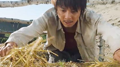 塞罕坝奇迹!他花3年让荒漠长出森林,震撼所有人