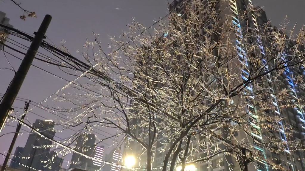 小年夜武汉一夜冻雨